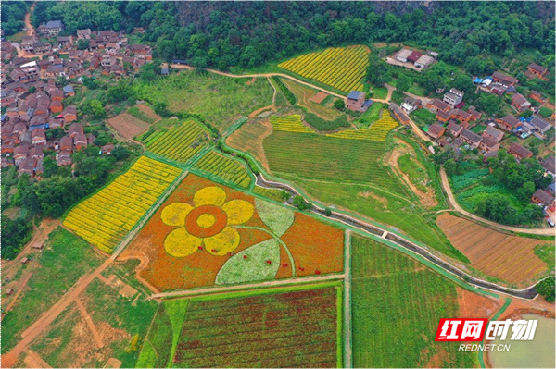 Picturesque Scenery of Blooming Flowers in Goulan Yao Village - Huaihua