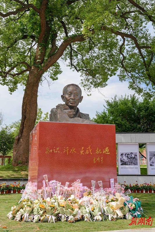 Yuan Longping's statue unveiled at Hunan Agricultural University - Huaihua